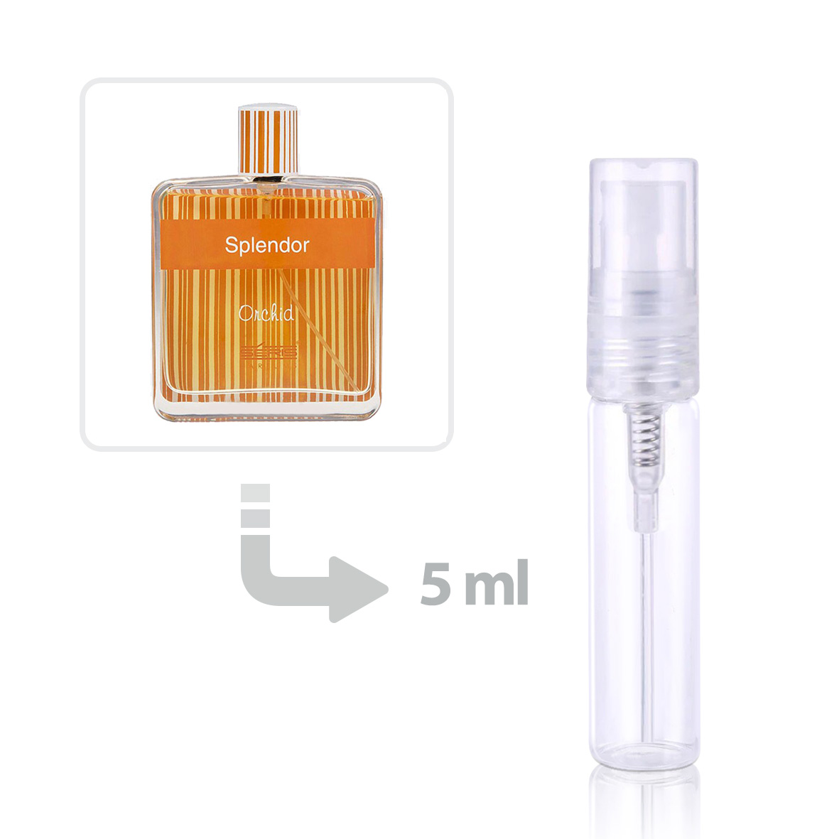 Specifications, price and purchase of perfume Splendor Orchid Eau de ...