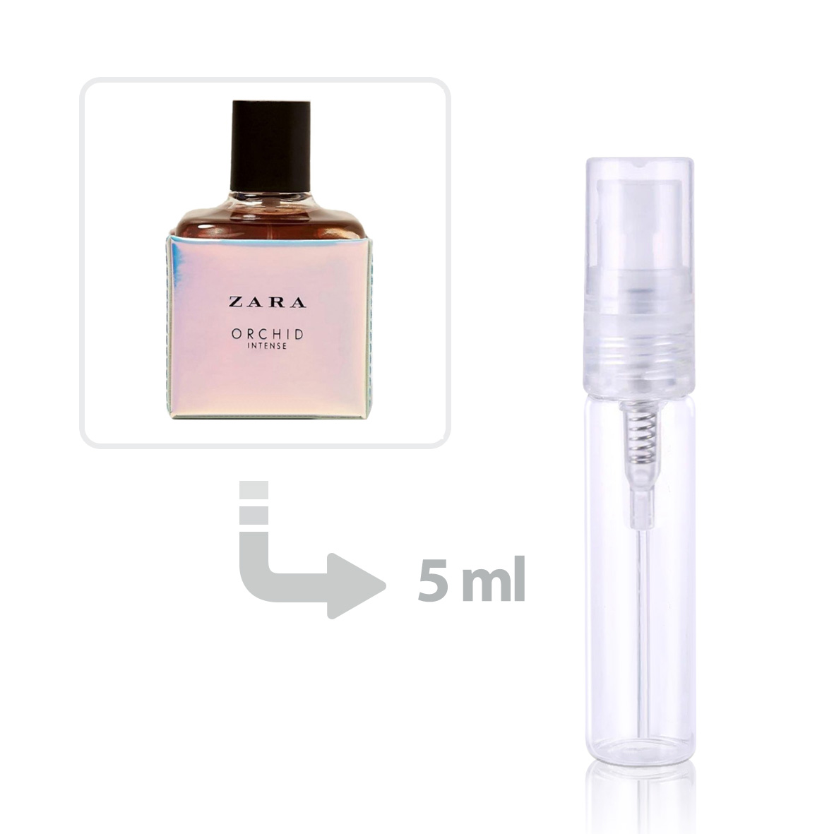 Orchid Intense 2017 Eau de Parfum for Women perfume & fragrance - Riah