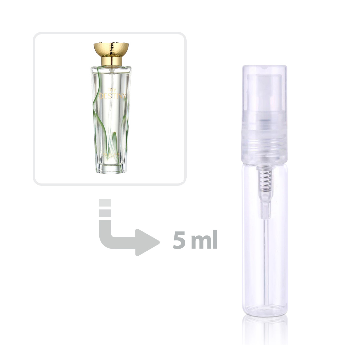 My Destiny Eau de Parfum for Women perfume & fragrance - Riah