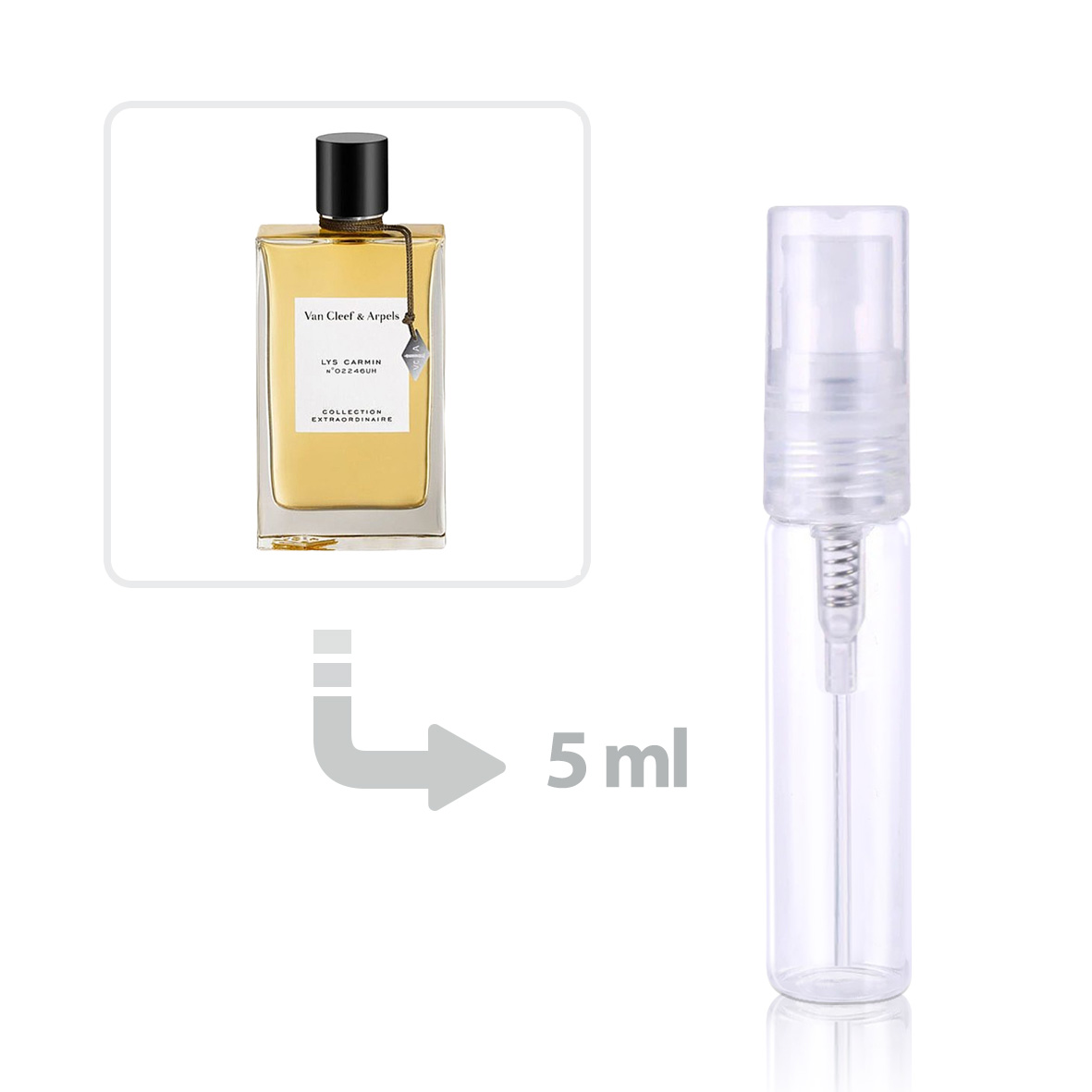 Collection Extraordinaire Lys Carmin Eau de Parfum for Women perfume ...